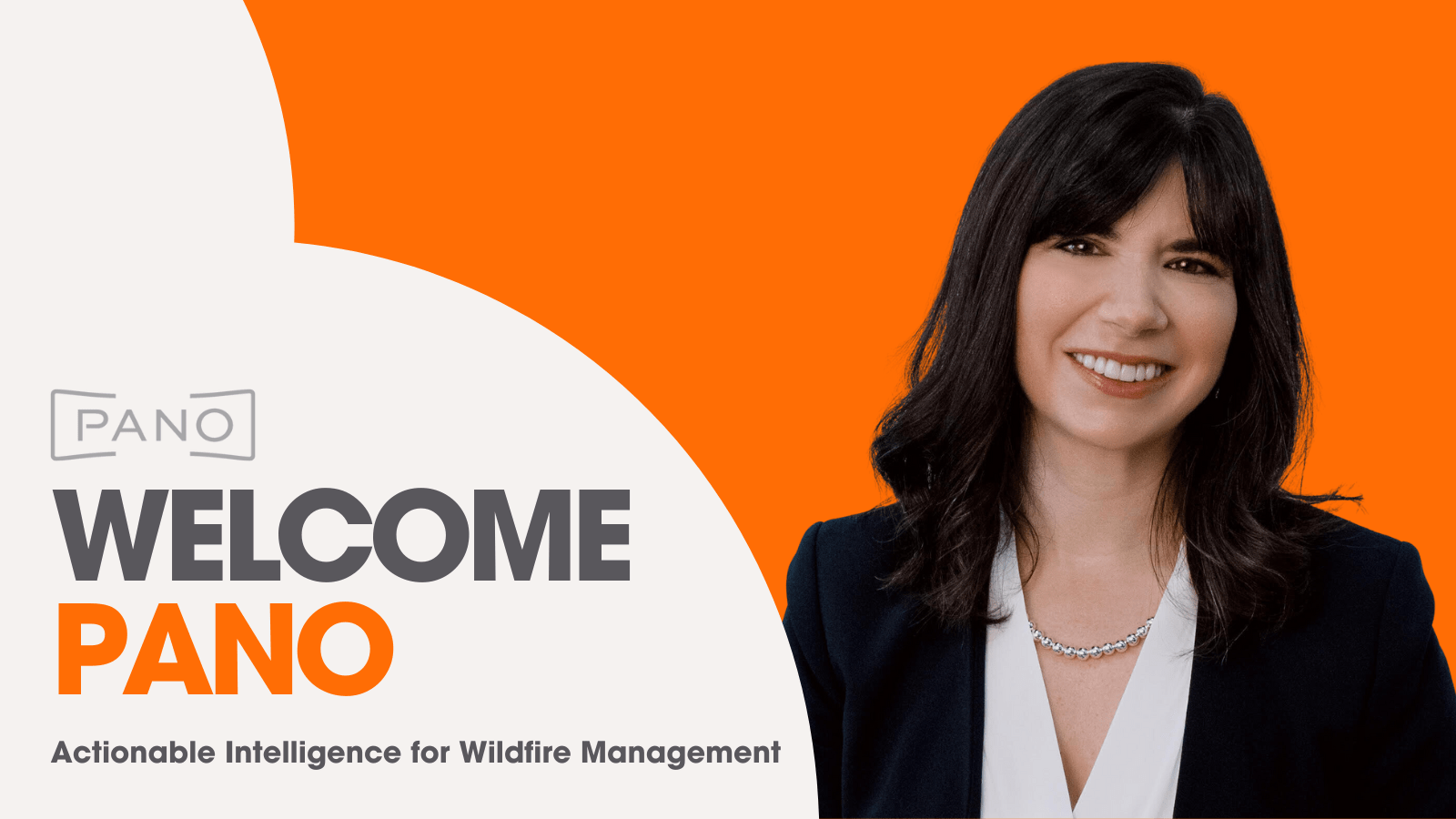 How Pano AI Is Building the Front Line of Wildfire Defense | Salesforce ...